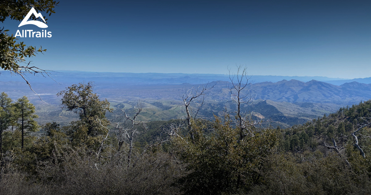 Pinal Hikes | List | AllTrails