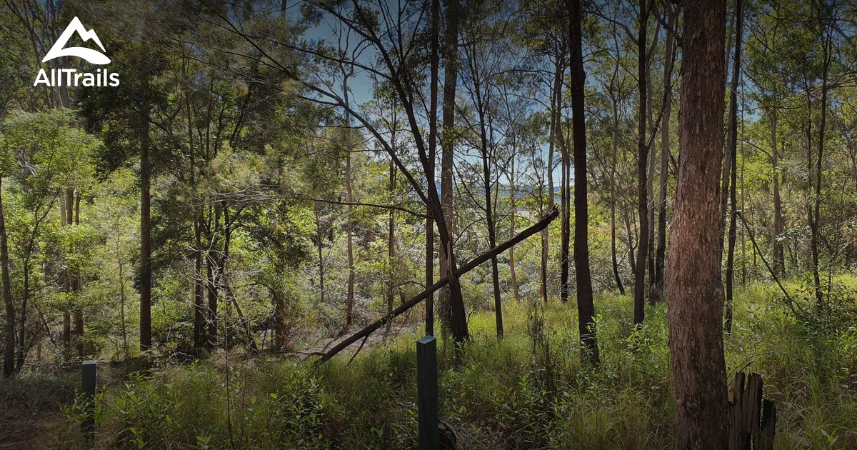 Coolum | List | AllTrails