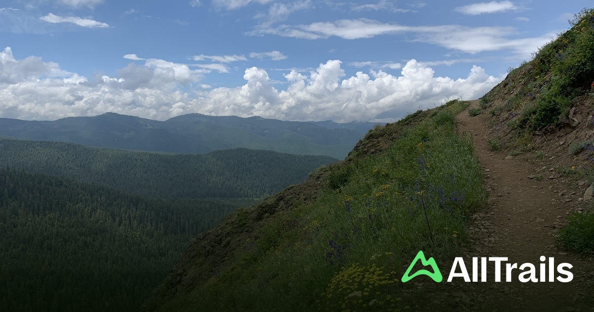 Syringa | List | AllTrails