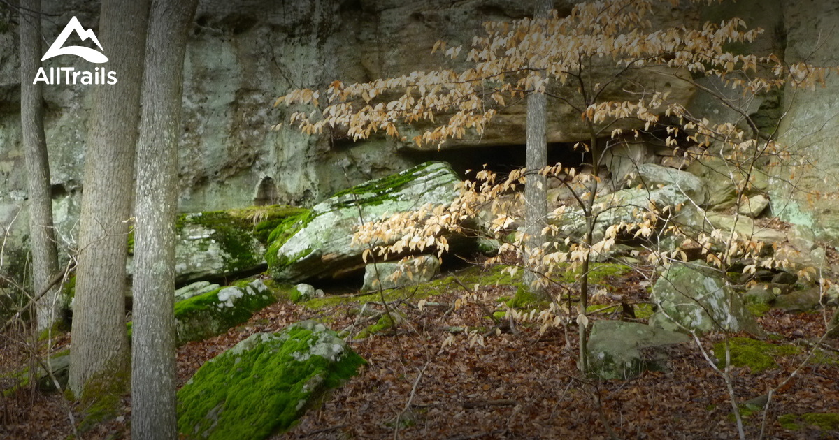 Kyburz Trails | List | AllTrails