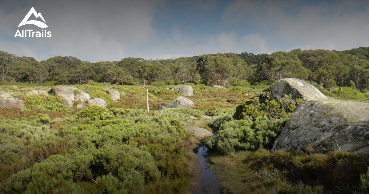 Baw Baw | List | AllTrails