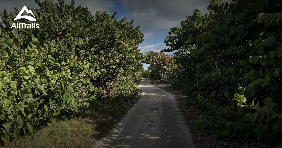 Trail clean up | List | AllTrails