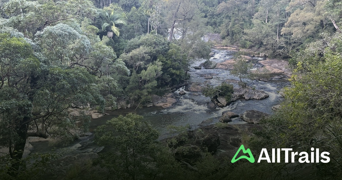 Eungella Mackay Great walk area | List | AllTrails