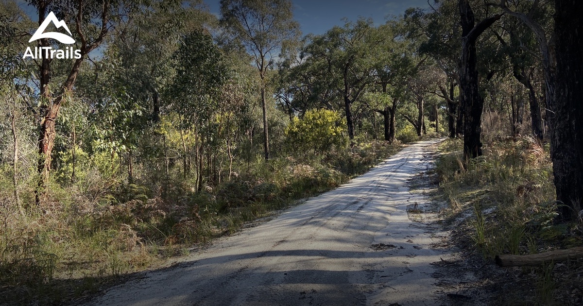 Otways Walks | List | AllTrails