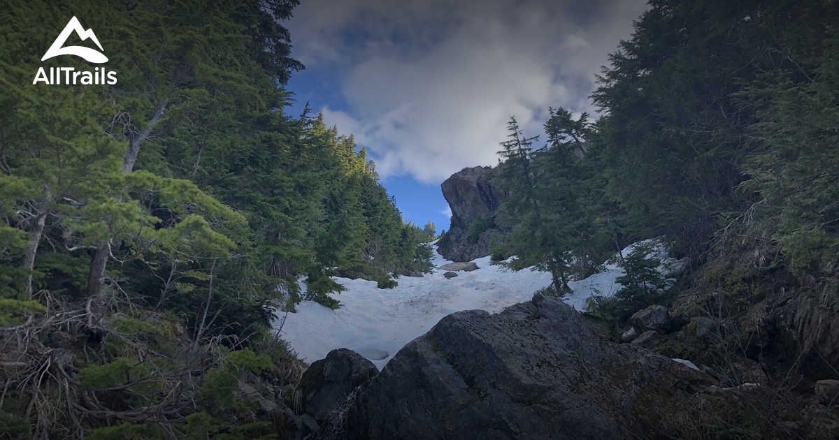 Area around lake cushman | List | AllTrails