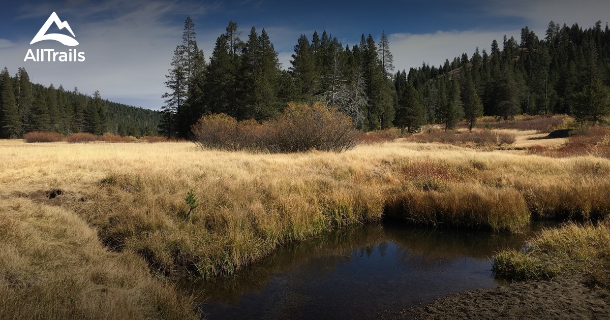 Tahoe Donner Trails | List | AllTrails