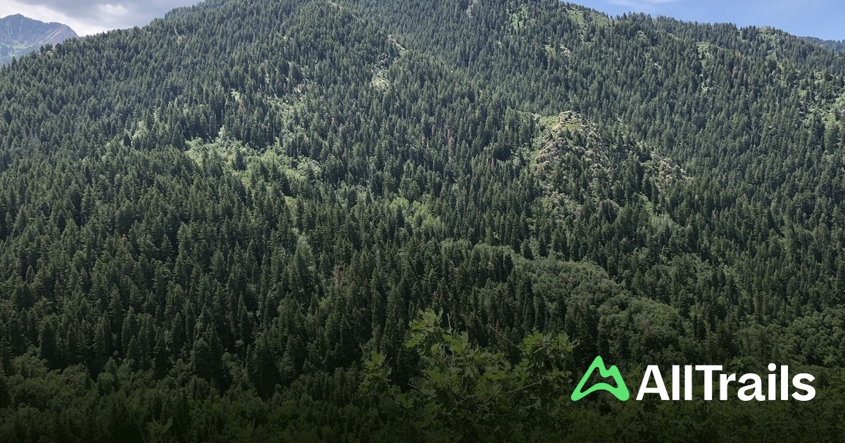 Hike with harrison | List | AllTrails