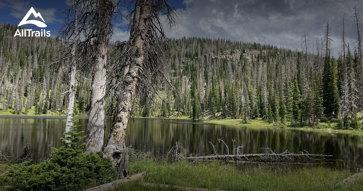 Uinta Hiking Trails | List | AllTrails