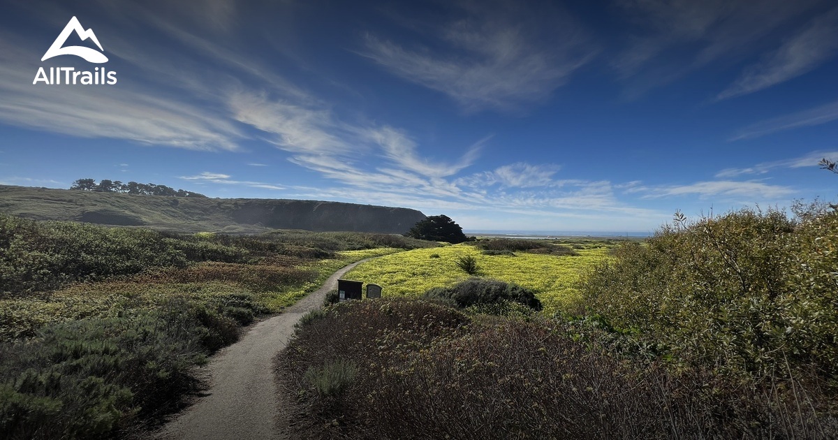 big sur | List | AllTrails