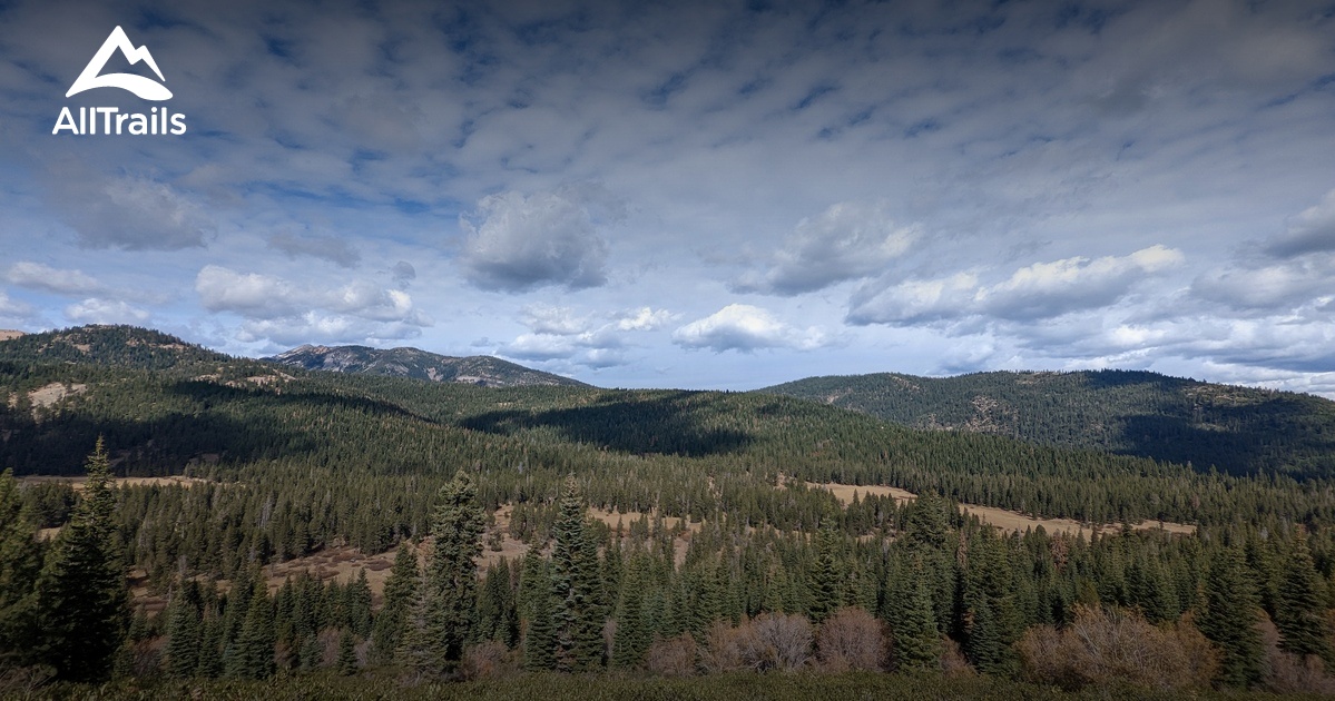 Donner Lake Area Hike Options | List | AllTrails