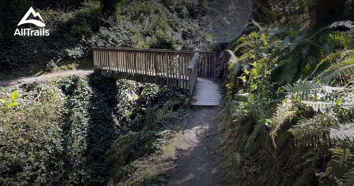 Avery Walks | List | AllTrails