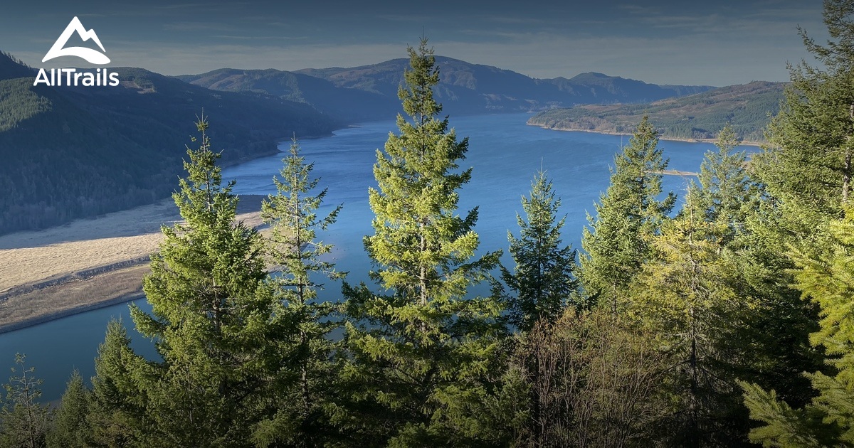 Riffe Lake | List | AllTrails