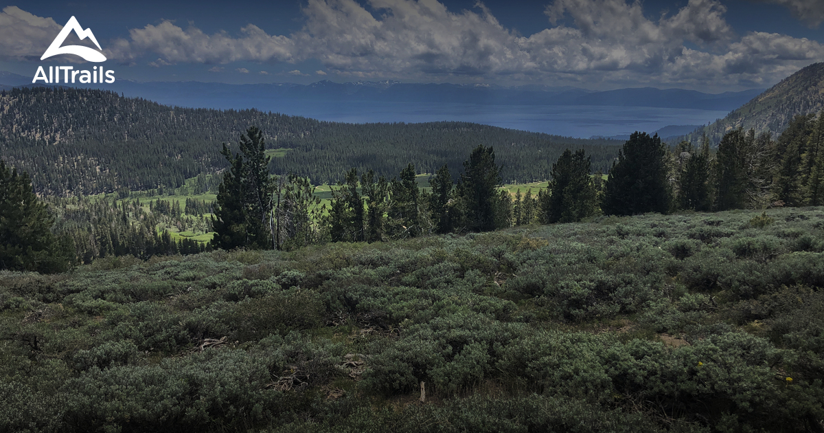 Reno/Carson Area Hikes | List | AllTrails