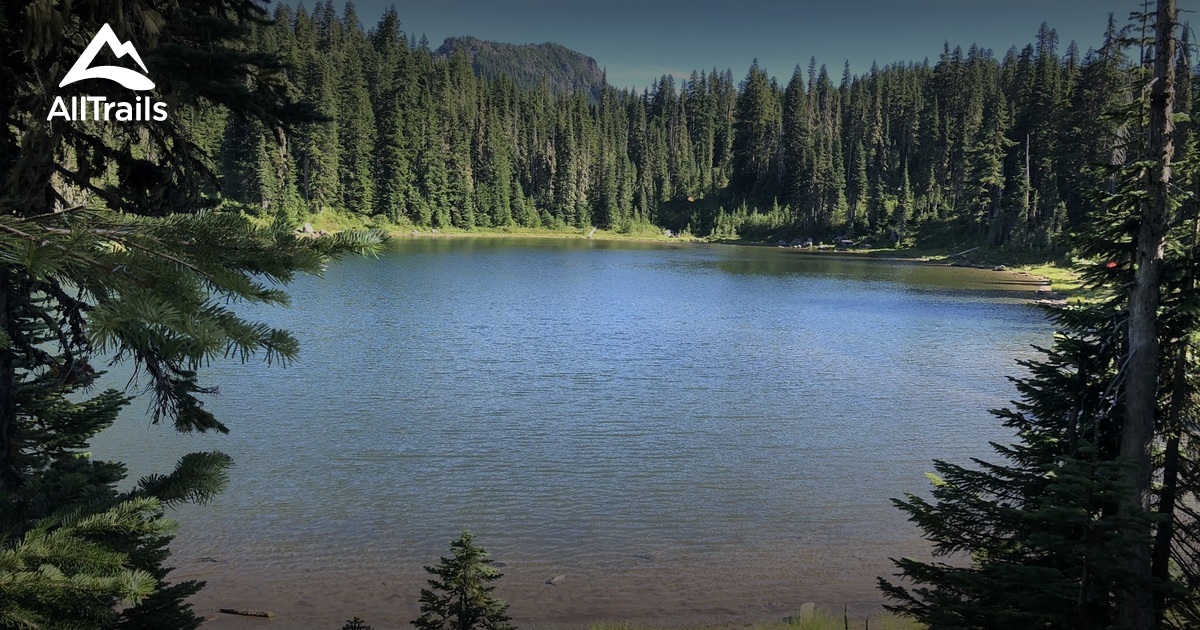 Indian Heaven Wilderness Hikes | List | AllTrails