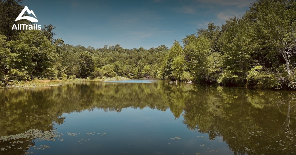 Tryon Trails | List | AllTrails