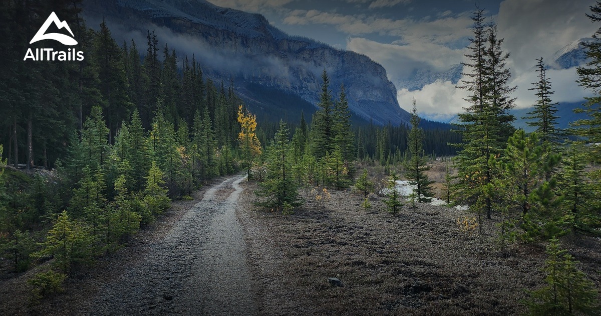 Saskatchewan River Crossing | List | AllTrails