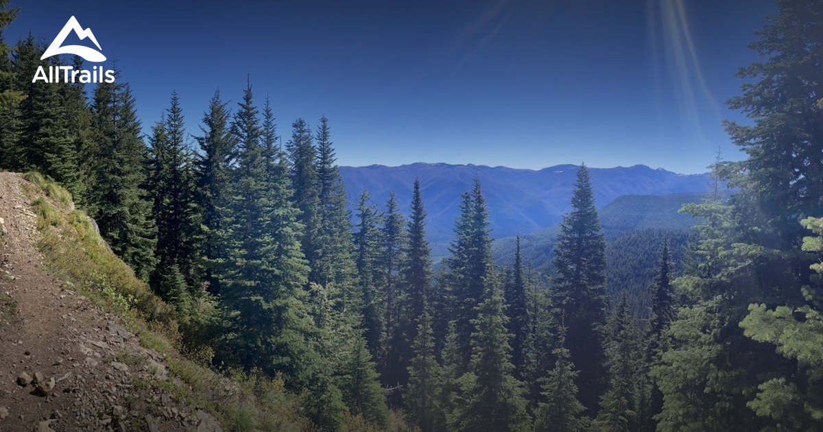 Day hikes Chinook Pass | List | AllTrails