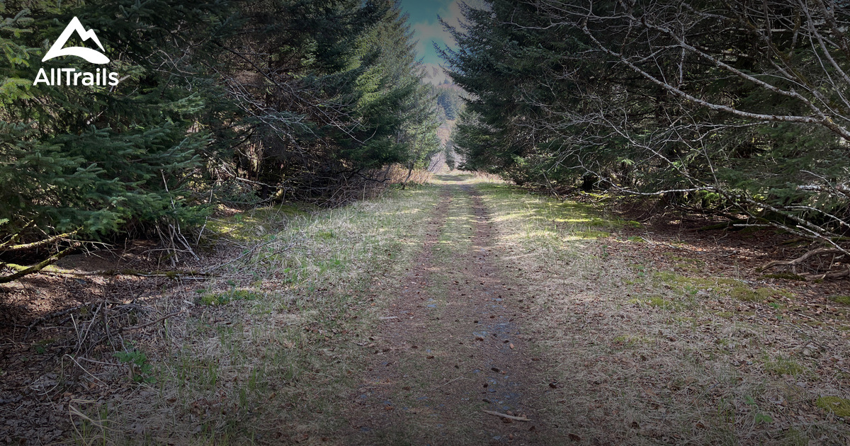 Explore the Rock | List | AllTrails