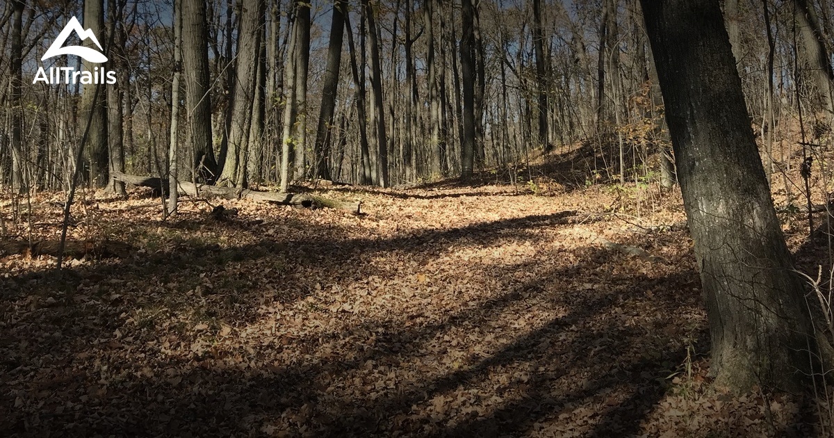 Mauthe Lake | List | AllTrails