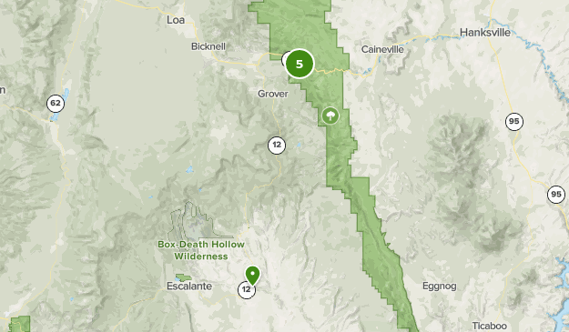 Capitol Reef National Park Hikes | List | AllTrails