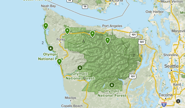 Olympic National Park Road Trip | List | AllTrails