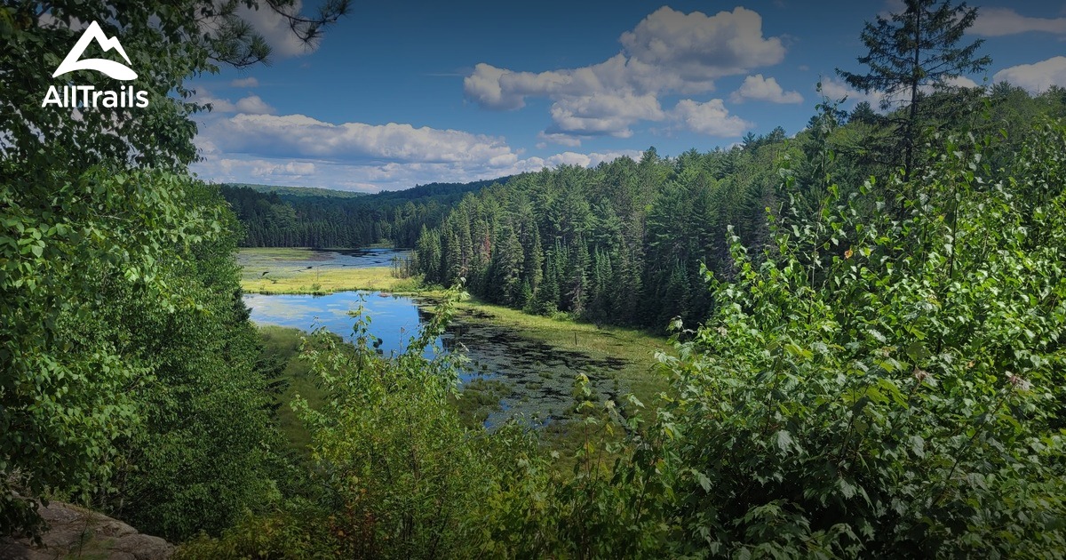 Pog Lake camping | List | AllTrails