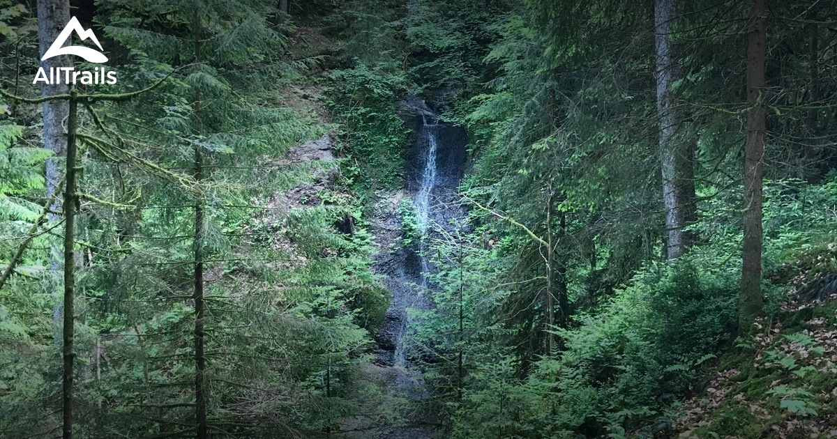 randonnée vosges | List | AllTrails