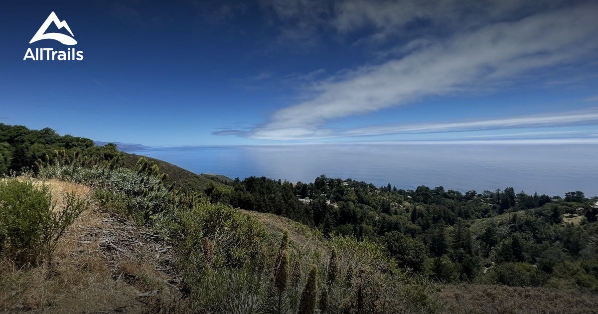 Big Sur | List | AllTrails