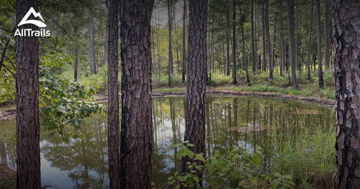 texas Triangle | List | AllTrails