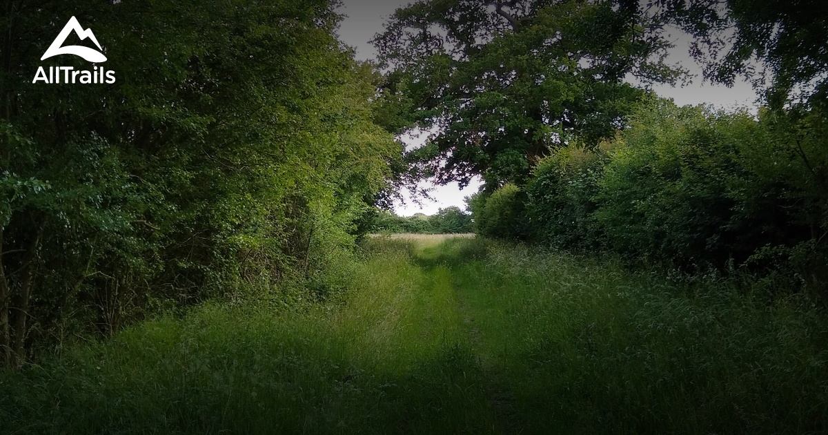 Thorndon walks | List | AllTrails