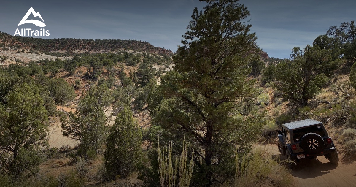 Lake Powell 4WD | List | AllTrails