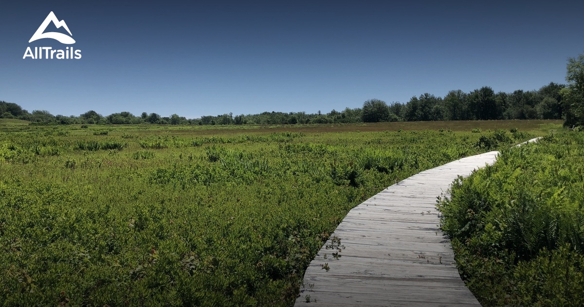 Wells walks | List | AllTrails