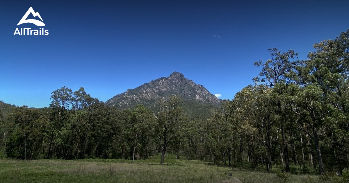 SEQ - Walk-in campaign | List | AllTrails