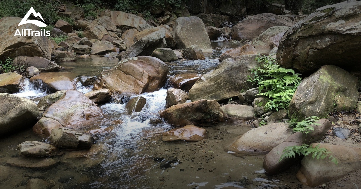 Capernwray walks to try | List | AllTrails