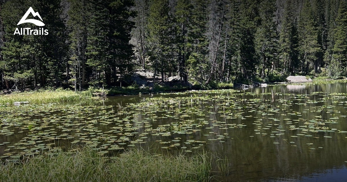 RMNP June 2020 | List | AllTrails