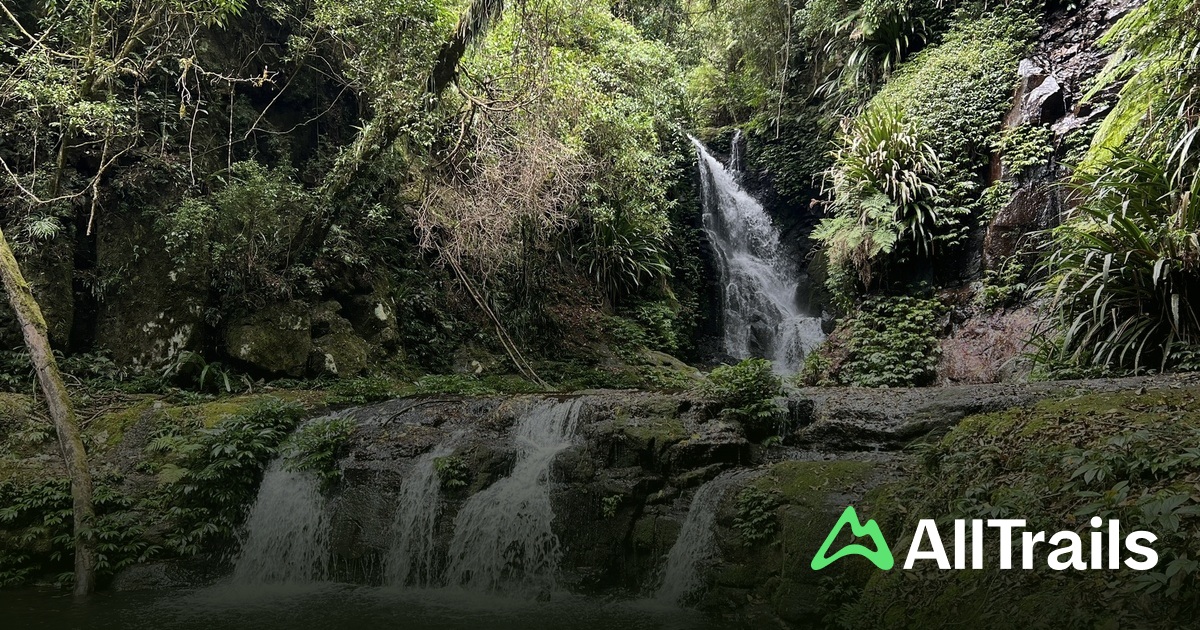 chase the waterfalls | List | AllTrails