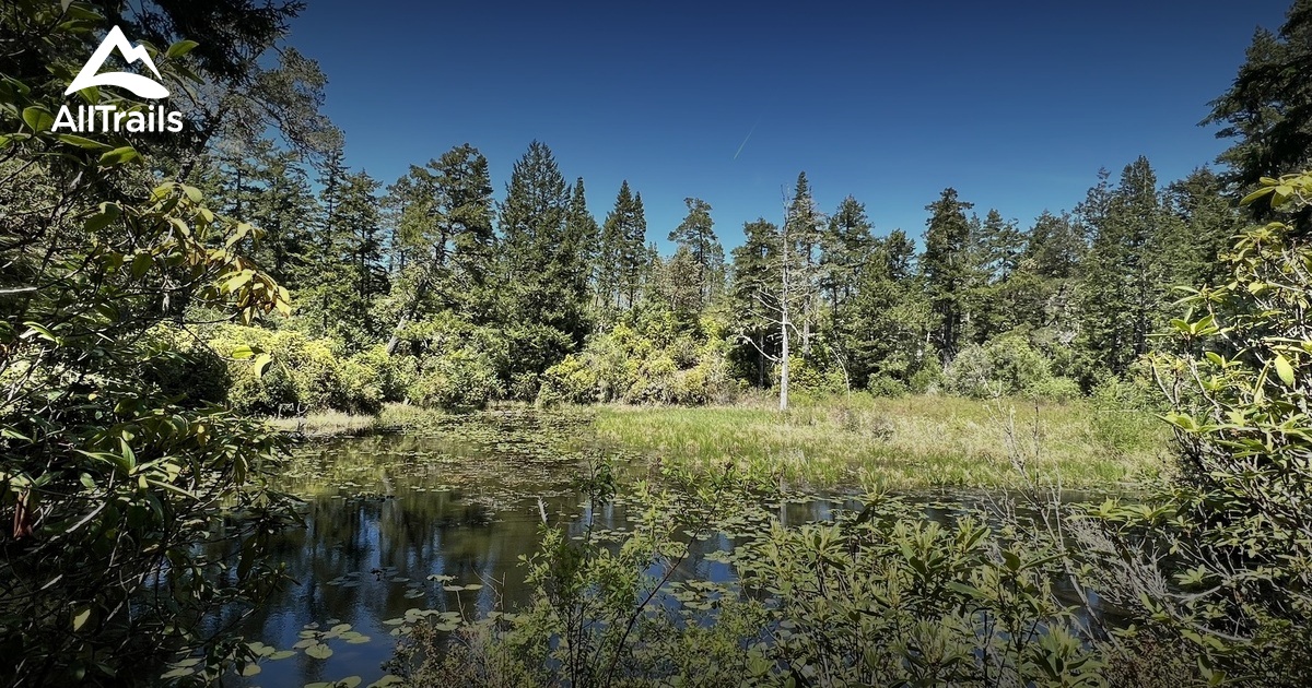 Dunes Ntnl. Park | List | AllTrails