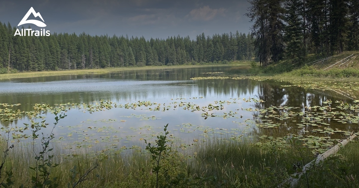 metaline falls/ ione | List | AllTrails