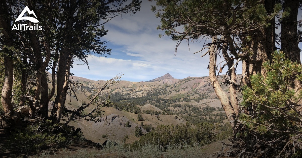 Pacific Crest Trail sections | List | AllTrails