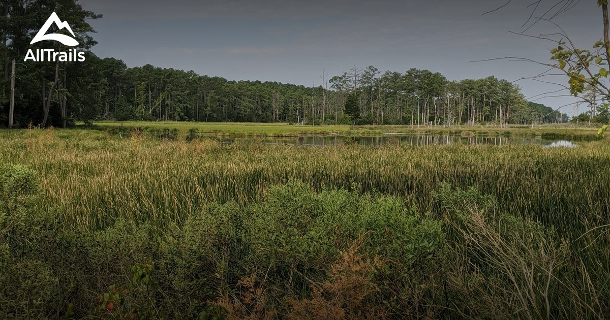 Virginia Northern Neck | List | AllTrails