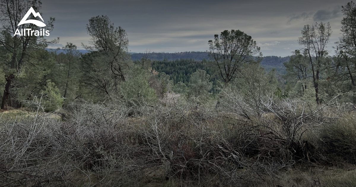 Pollock hikes | List | AllTrails