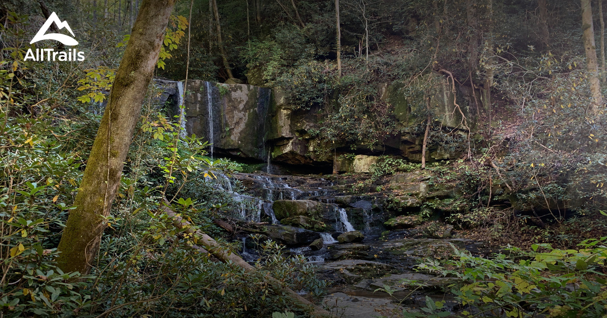 SC trail runs | List | AllTrails