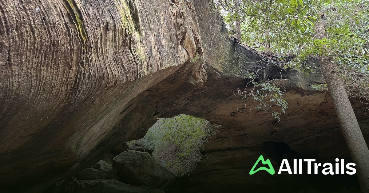 clifty wilderness | List | AllTrails