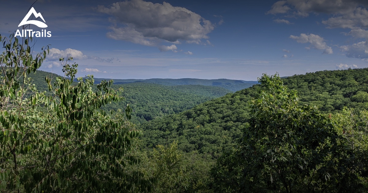 Exploring local | List | AllTrails