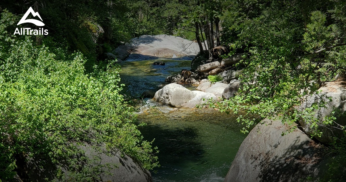 Silver City Sequoia | List | AllTrails