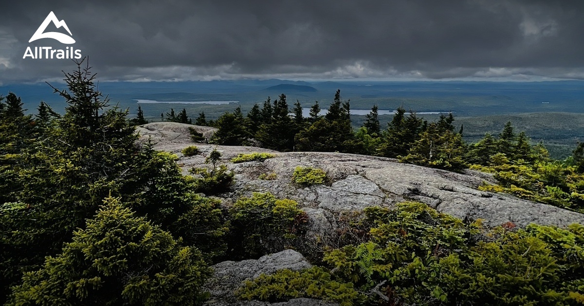 Patten/Shin Pond | List | AllTrails