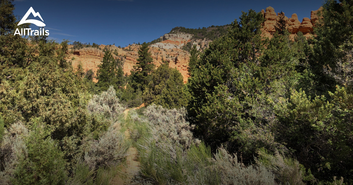 Dixie NF trails | List | AllTrails