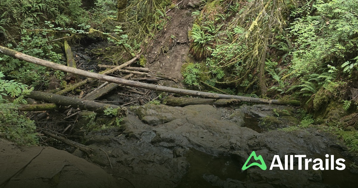 Hikes with Elli! | List | AllTrails