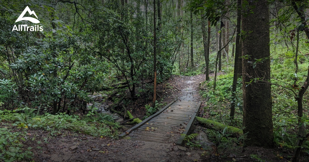 WNC Loop Trails | List | AllTrails