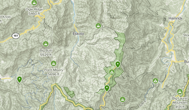 best mt mitchell | List | AllTrails